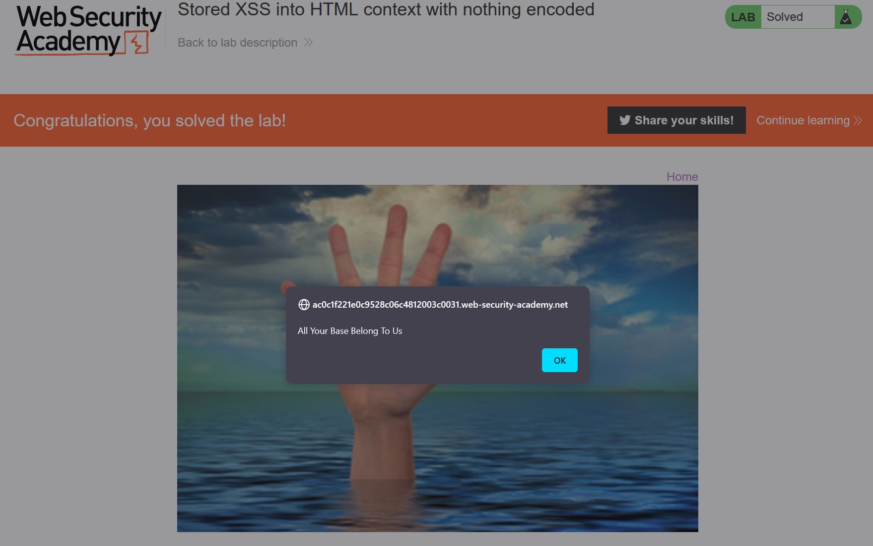 Writeup: Stored XSS into HTML context with nothing encoded - Midnight Cyber Security